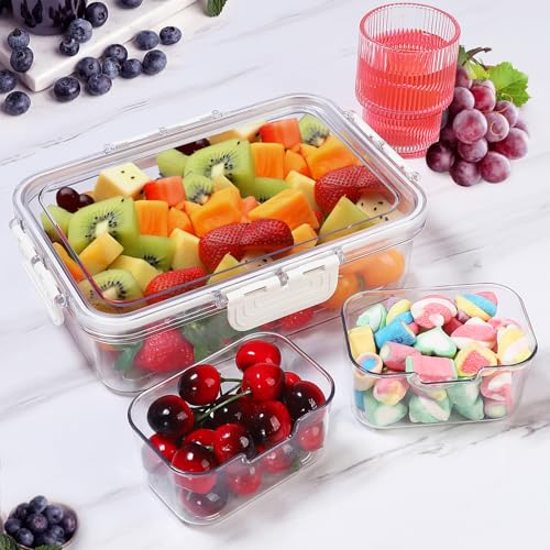 Wuoerr Snack Box Container, Portable Snack Box Container, Divided Serving Tray with Lid and Snackle Box, Clear Organizer for Veggie, Tray, Candy, Fruits, Nuts, Snacks (4 Compartments)