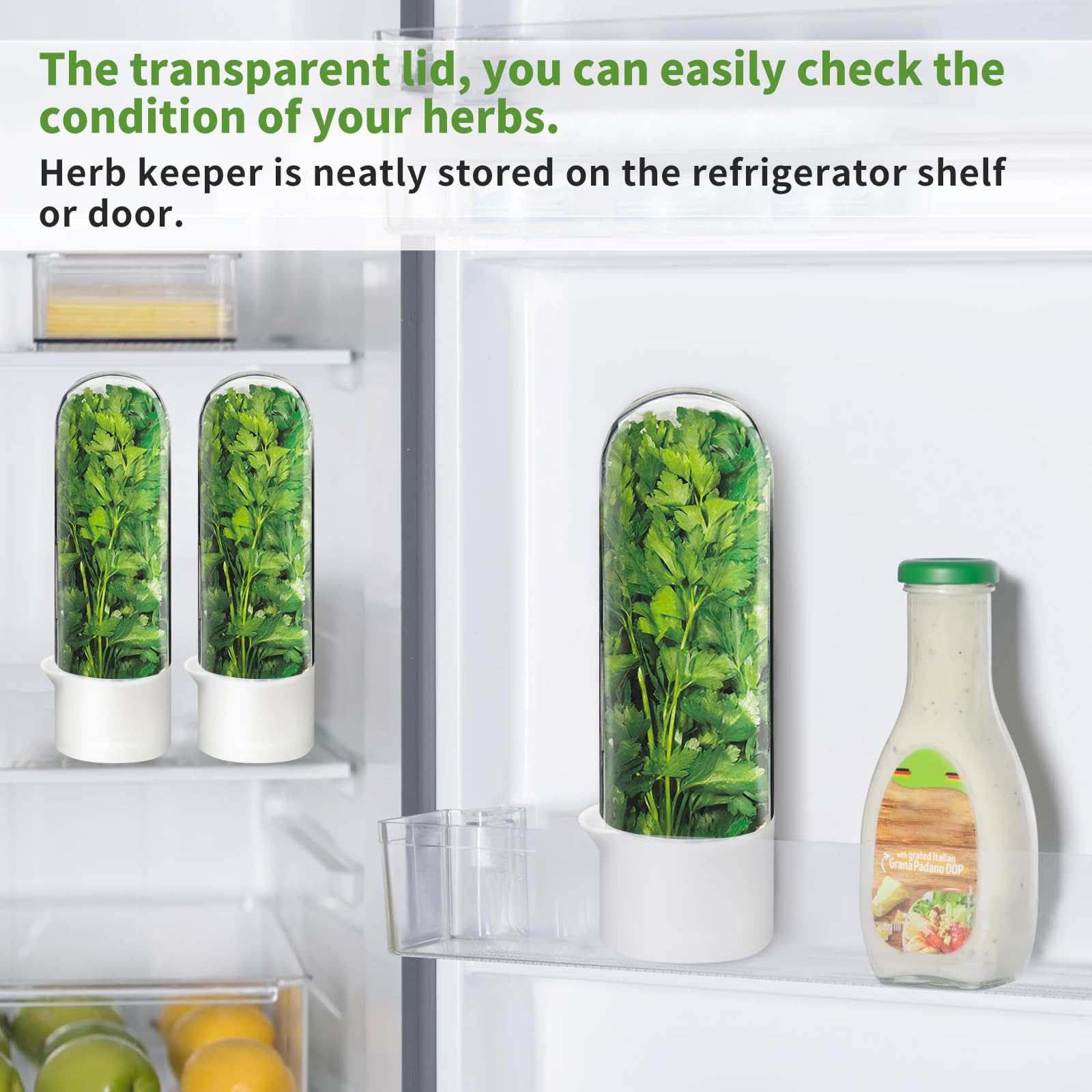 UEOZ Herb Keeper for Refrigerator, Herb Saver for Refrigerator, Cilantro Container, Vegetable Preservation Bottle for Cilantro, Mint, Parsley, Asparagus, Keeps Greens Fresh for 2-3 Weeks (2PCS)