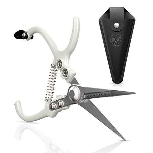 LOOPSEED Plant Pruning Shears with Leather Sheath Garden Trimming Scissors with Belt Holster Bonsai Trimmers Herb Snips Flower Clippers Modern Garden Tools 2 Piece Bundle