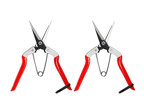 GARTOL Micro-Tip Pruning Shears, Hand Pruner Snips Florist Garden Scissors with Silicone Protective Sleeve, Perfect for Cutting Buds, Flowers, Vegetables and Picking Fruit, Trimming Plants(2 Pack)