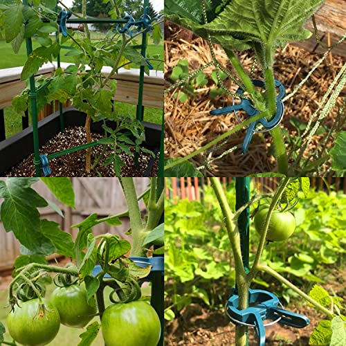 Yinghezu 40 Pcs Plant Support Clips,Flower and Vine,Garden Tomato Plant Support Clips for Supporting Stems,Vines Grow Upright Climbing,Tool for Straightening,Tomato Cage,Trellis. 2 Sizes in one Pack