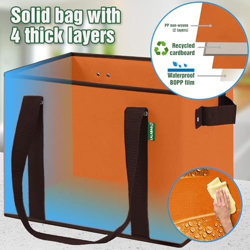 LALABAG Reusable Grocery Bag (Pack of 3) - Heavy Duty Box with High Load Carrier, Foldable, Perfect for Shopping, Gifting, Storage (Orange)