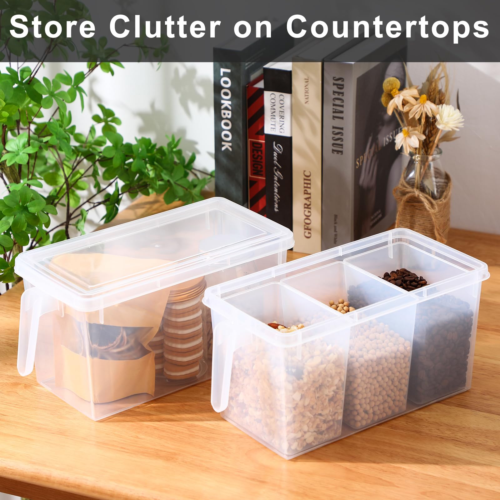 Quzzil 4 Pcs Fridge Organizer Refrigerator Organizer Bins with Lids and Handle Clear Fruit Storage Containers for Fridge Vegetable, Egg, Meat (Divided and Normal Style)