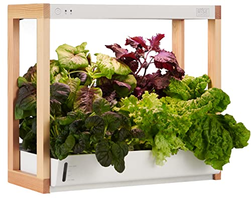 Rise Gardens Personal Garden and Starter Kit | Hydroponics Growing System, Wi-Fi & App Controlled Indoor Garden with Growing Lights & Self-Watering System | Includes 8 Seed Pods & 6 Weeks Nutrients