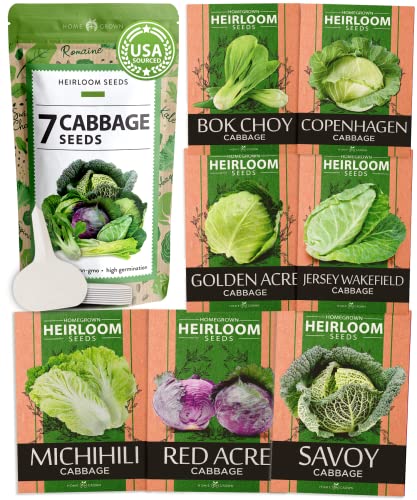 7 Cabbage Seeds for Planting - 2000+ Heirloom & Non-GMO Seeds - Golden Acre, Bok Choy, Savoy, Michihili, Red Acre, Copenhagen Market, Jersey Wakefield Cabbages - Garden Vegetable Lettuce Seeds