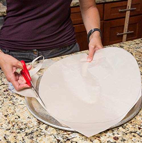 Homey 10-Pack Flexible Reusable and Resizable Non Stick Teflon Food Dehydrator Sheets, 14x14-Inches