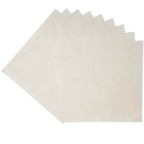 Homey 10-Pack Flexible Reusable and Resizable Non Stick Teflon Food Dehydrator Sheets, 14x14-Inches