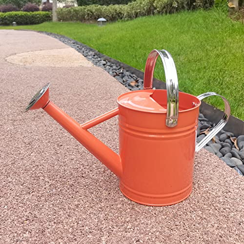 yourjoy Metal Watering Can, One Gallon Watering Cans Stainless Steel Handle for Outdoor Indoor Garden Plants Watering (Flat Handle Orange)
