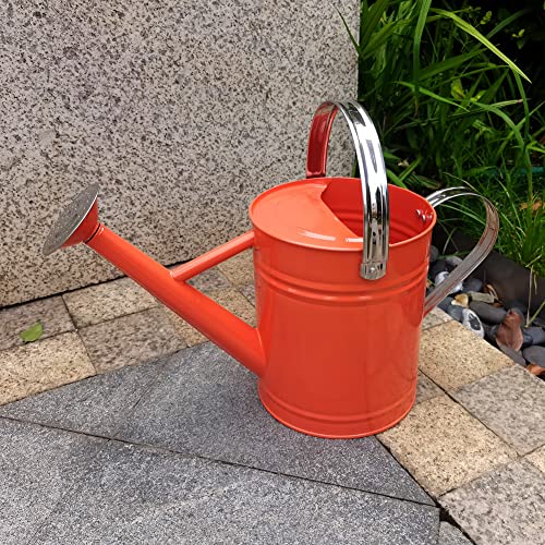 yourjoy Metal Watering Can, One Gallon Watering Cans Stainless Steel Handle for Outdoor Indoor Garden Plants Watering (Flat Handle Orange)