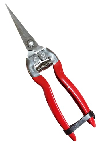 Garden Guru Straight Stainless Steel Pruner Pruning Shears Clippers Snips – Sharp Bonsai Plant Trimming Scissors – Straight Blade Garden Scissors Tool – Great for Roses Flowers Herbs Fruits