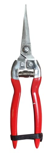 Garden Guru Straight Stainless Steel Pruner Pruning Shears Clippers Snips – Sharp Bonsai Plant Trimming Scissors – Straight Blade Garden Scissors Tool – Great for Roses Flowers Herbs Fruits
