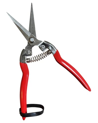 Garden Guru Straight Stainless Steel Pruner Pruning Shears Clippers Snips – Sharp Bonsai Plant Trimming Scissors – Straight Blade Garden Scissors Tool – Great for Roses Flowers Herbs Fruits