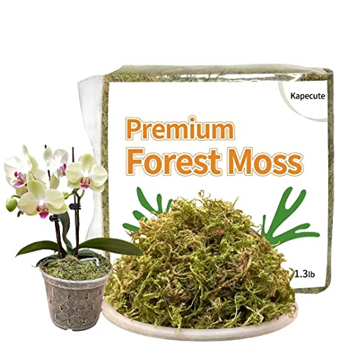 Kapecute 1.3 lb Natural Forest Moss Brick for Potted Plants, Good Orchid Potting Mix, Perfect for Reptile Terrarium Bedding, Indoor and Outdoor Garden Decor