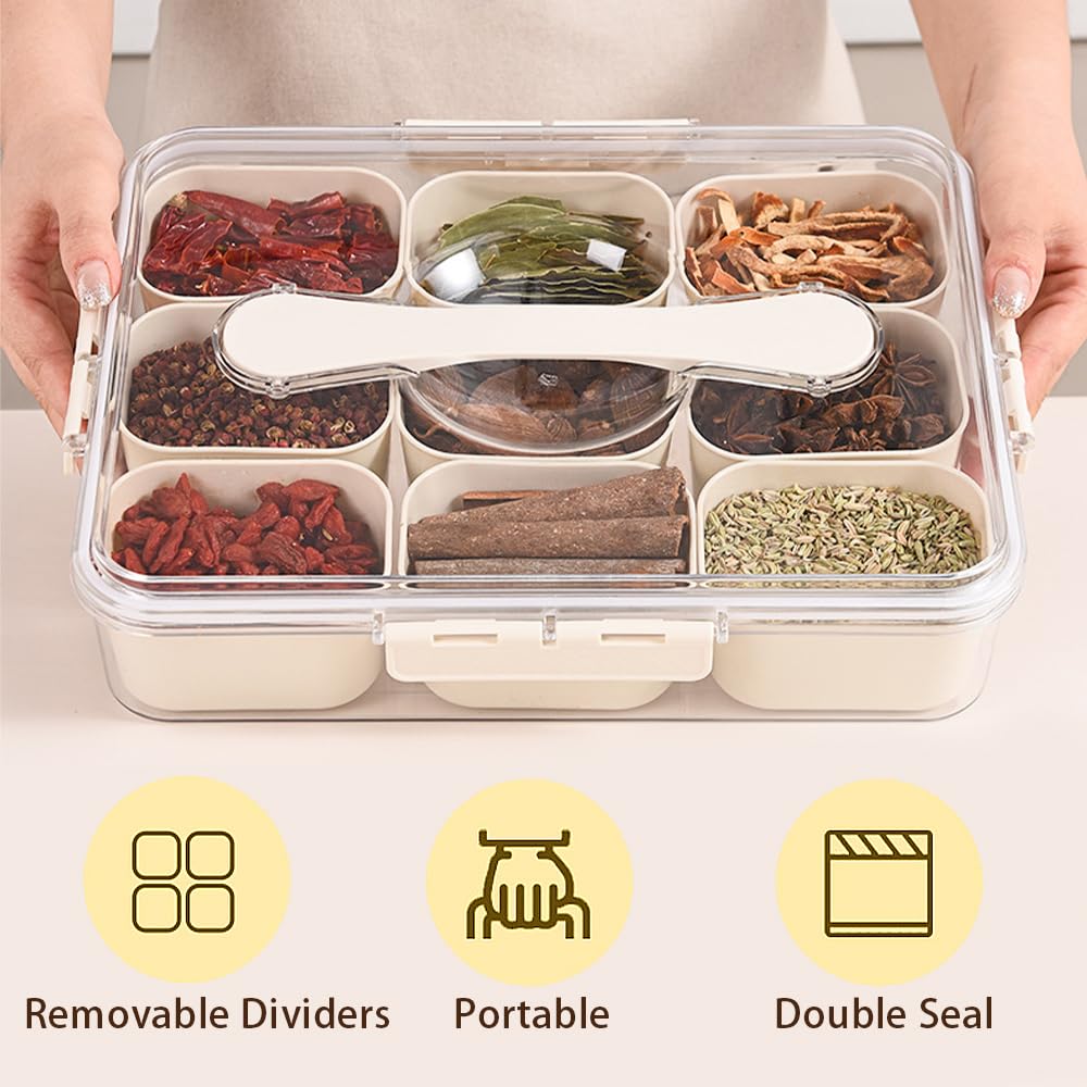 Iosjeude Tackle Box For Snacks, Divided Serving Tray With Lid And Handle, 9 Compartment Portable Snack Platters For Fruit, Nuts, Candy, Entertaining, Party, Picnic, Food Storage for Travel Beach