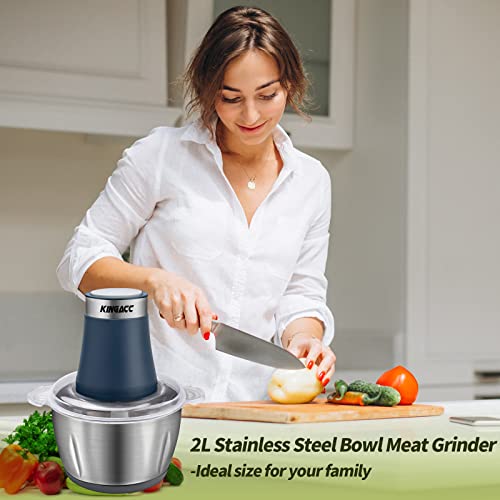 Electric Food Processor & Vegetable Chopper, 8-Cup Blender Grinder for Meat, Vegetables, Onion, Garlic, with 2L Stainless Steel Bowl and 4 Sharp Blades for Slicing, Shredding, Mincing, and Puree, 300W