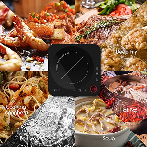 Aigostar Portable Induction Cooktop, Induction Burner with 8 Level Temp Setting Between 140°F-460°F, Timer, Electric Countertop Burner with LED Display, Child Safety Lock, Auto-Shut-Off
