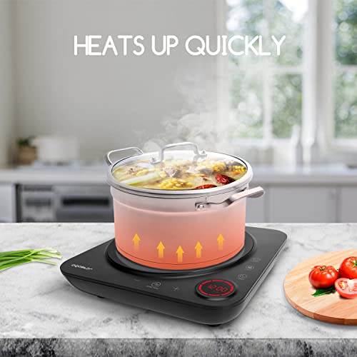 Aigostar Portable Induction Cooktop, Induction Burner with 8 Level Temp Setting Between 140°F-460°F, Timer, Electric Countertop Burner with LED Display, Child Safety Lock, Auto-Shut-Off
