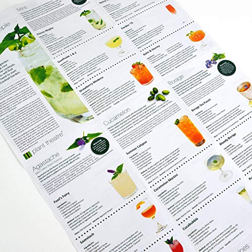 Plant Theatre Cocktail Herb Growing Kit - Grow 6 Unique Indoor Garden Plants for Mixed Drinks with Seeds, Starter Pots, Planting Markers and Peat Discs - Kitchen & Gardening Gifts for Women & Men 