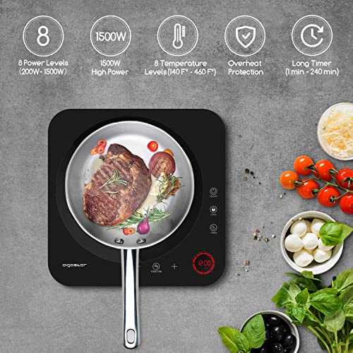 Aigostar Portable Induction Cooktop, Induction Burner with 8 Level Temp Setting Between 140°F-460°F, Timer, Electric Countertop Burner with LED Display, Child Safety Lock, Auto-Shut-Off