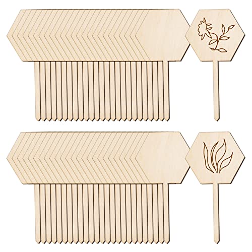 HOVEOX 100 Pieces Wooden Plant Labels Succulent Tags Wooden Plant Sign Tags Wood Garden Plant Tag Vegetable Garden Markers Plant Tags Succulent Plant Markers