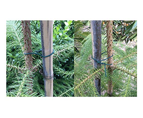 THE UM24 100 Feet Garden Wire Heavy Duty Green Coated Plant Twist Tie Garden Training Wire
