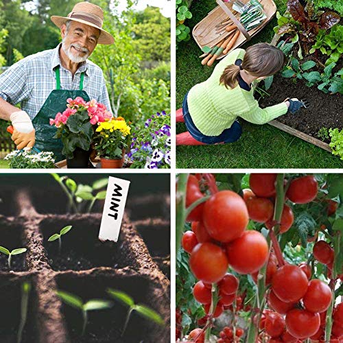 macoya Seed Starter Tray, Seedling Starter Peat Pots Kits, Biodegradable Compostable Planting Pots for Vegetable Fruit Flower, Indoor Outdoor & Organic Garden, 150 Cells Plus 30 Plant Labels