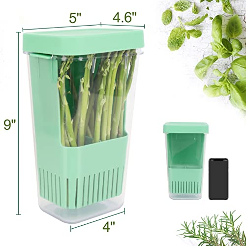 LUVCOSY 2 Packs Fresh Herb Keeper for Refrigerator, Clear BPA-Free Herb Saver, Storage Container for Cilantro, Parsley, Thyme, Mint & Asparagus, Preserver Keeps Fresh Herbs Cyan