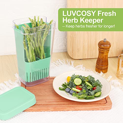 LUVCOSY 2 Packs Fresh Herb Keeper for Refrigerator, Clear BPA-Free Herb Saver, Storage Container for Cilantro, Parsley, Thyme, Mint & Asparagus, Preserver Keeps Fresh Herbs Cyan