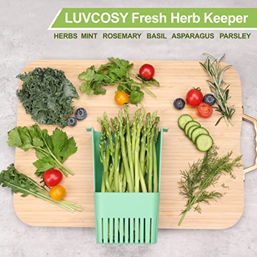 LUVCOSY 2 Packs Fresh Herb Keeper for Refrigerator, Clear BPA-Free Herb Saver, Storage Container for Cilantro, Parsley, Thyme, Mint & Asparagus, Preserver Keeps Fresh Herbs Cyan