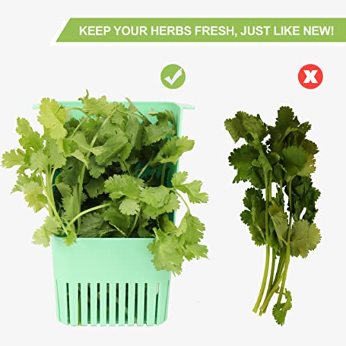 LUVCOSY 2 Packs Fresh Herb Keeper for Refrigerator, Clear BPA-Free Herb Saver, Storage Container for Cilantro, Parsley, Thyme, Mint & Asparagus, Preserver Keeps Fresh Herbs Cyan