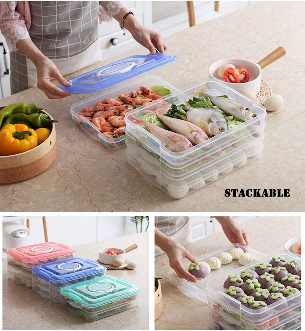TIAN CHEN Food Refrigerator Storage Containers with 2 Lids, 4 Layer, Stackable Handheld Carrier for Snack, Cookie, Meat, Bacon, Charcuterie, BPA Free (Transparent 4 tier)