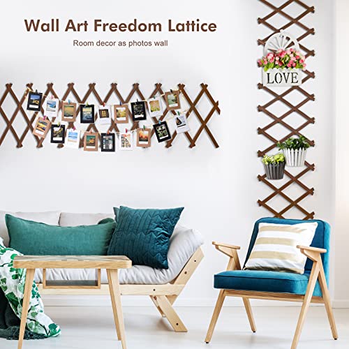 Expandable Wooden Lattice Frame - Hanging Plant Trellis Frame for Wall Climbing Plants Vines - Wall Art Freedom Lattice for Room Decor - Small Wood Fence Panel for Space Separate