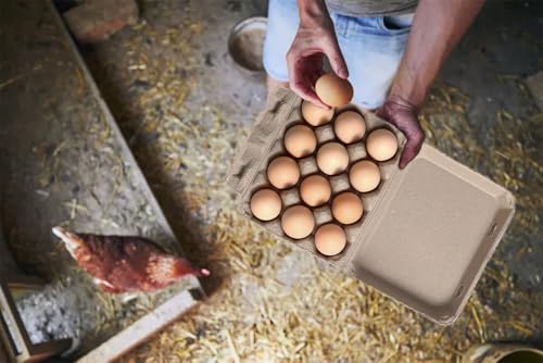 vwpvdeeg 25 Pack Half Dozen Egg Cartons, 3x4 Style Blank Natural Pulp Egg Carton Bulk 12 Count for Chicken Eggs or Duck Eggs, Reusable, Protects, Egg Storage Containers for Home Kitchen and Farmhouse