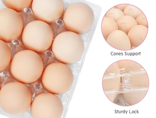30 Packs Large Plastic Egg Cartons with Sticker Labels, 3 x 4 Grids Chicken Egg Tray Holders, Holds Up to 12 Eggs Clear Crate Bulk, Reusable Egg Carton for Family Pasture Farm Markets Display (30)