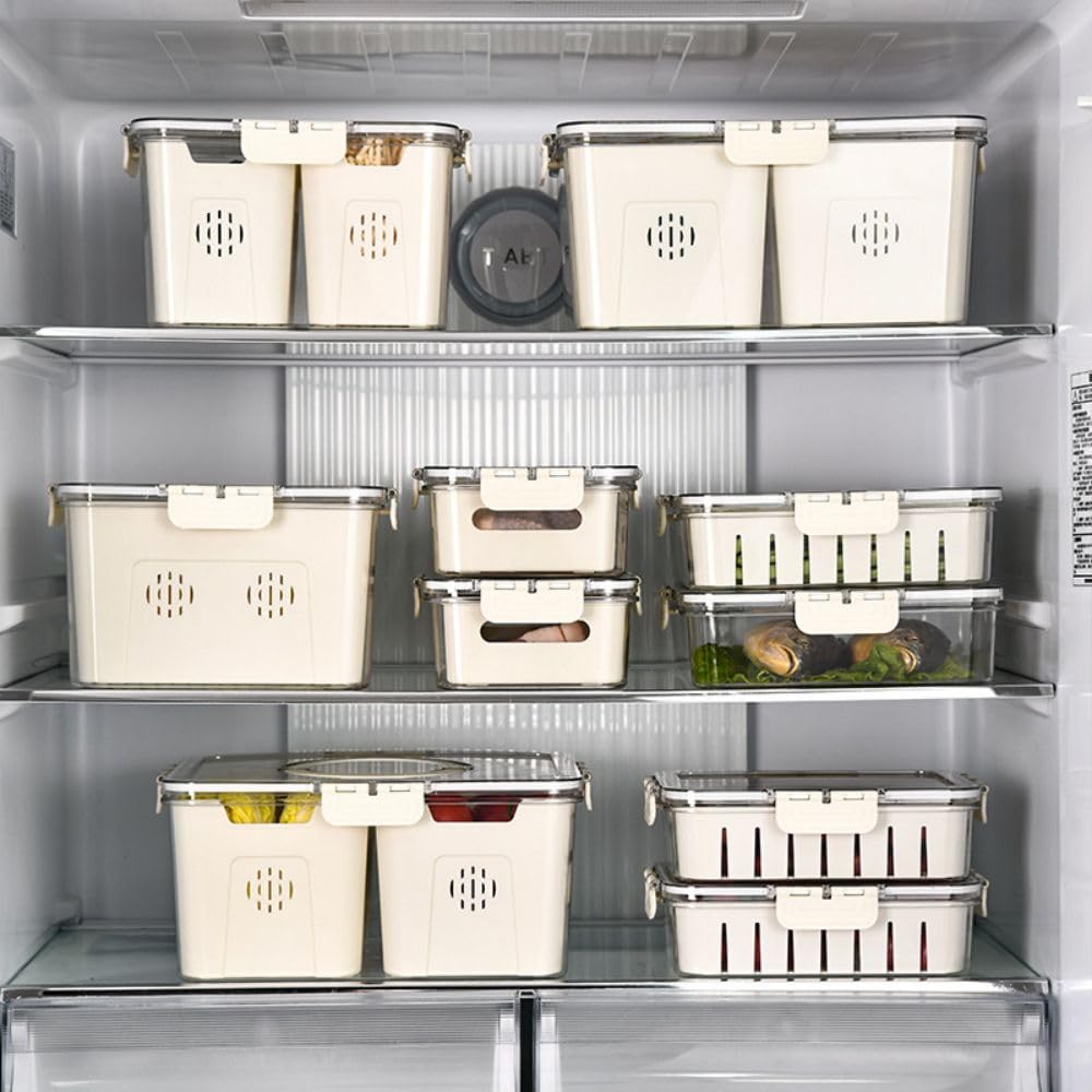 Fruit Storage Containers for Fridge 2 Compartment 4 Compartment Large Food Storage Container with Lids Handle Removable Drain Tray Berry Fruit Vegetable Fresh Saver for Travel Picnic (2 Compartment)