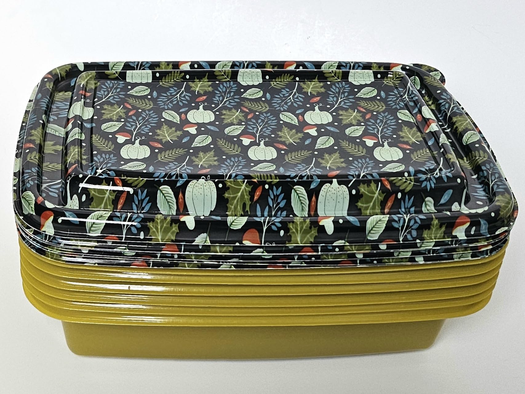 Fall Harvest Plastic Food Storage Containers, Set of 6 BPA Free Containers with Lids, 9 inches by 6 inches by 2 inches