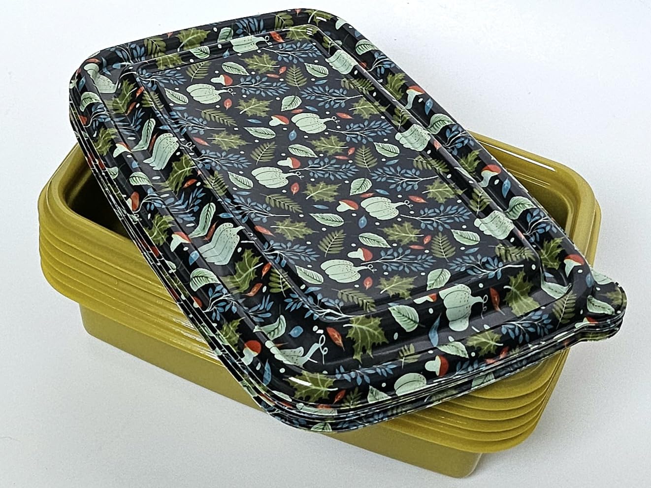 Fall Harvest Plastic Food Storage Containers, Set of 6 BPA Free Containers with Lids, 9 inches by 6 inches by 2 inches