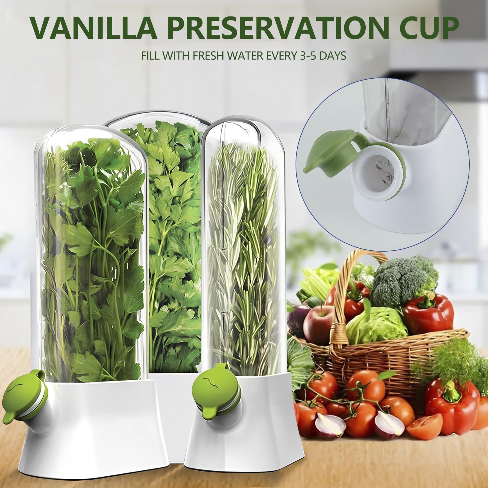 Adealed Herb Saver Storage Container Fresh Herb Keeper for Refrigerator Preservation Bottle for Parsley, Cilantro, Mint, and Vegetables- Kitchen Gadgets (1)
