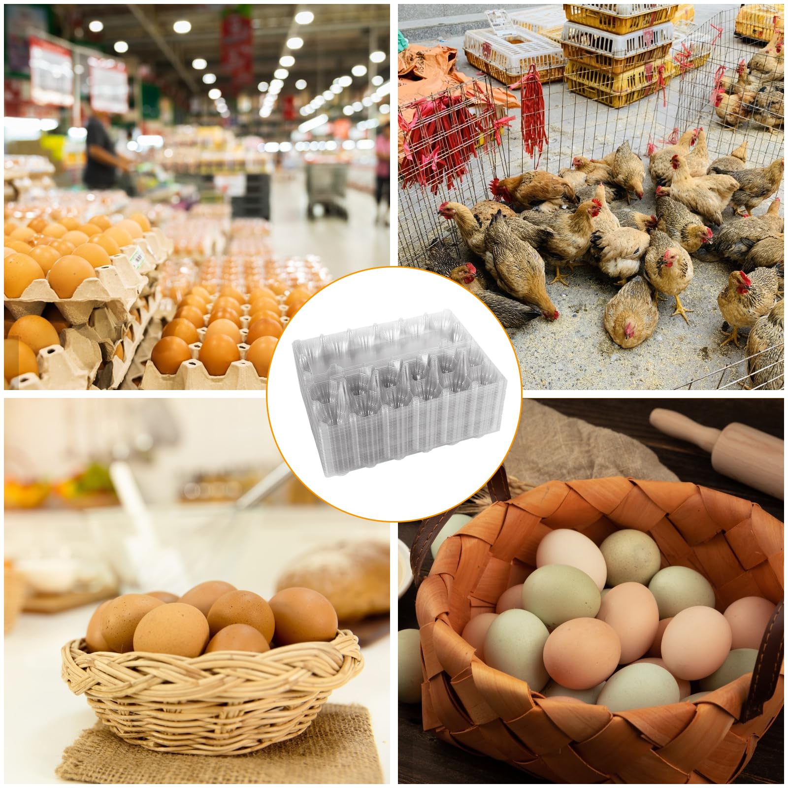 Oungy 50 Pack Plastic Egg Cartons Bulk 1 Dozen Clear Empty Egg Cartons Holds Up to 12 Eggs, Chicken Egg Cartons Reusable Egg Cartons Egg Tray for Family Chicken Farm Markets Display, 2x6 Grids