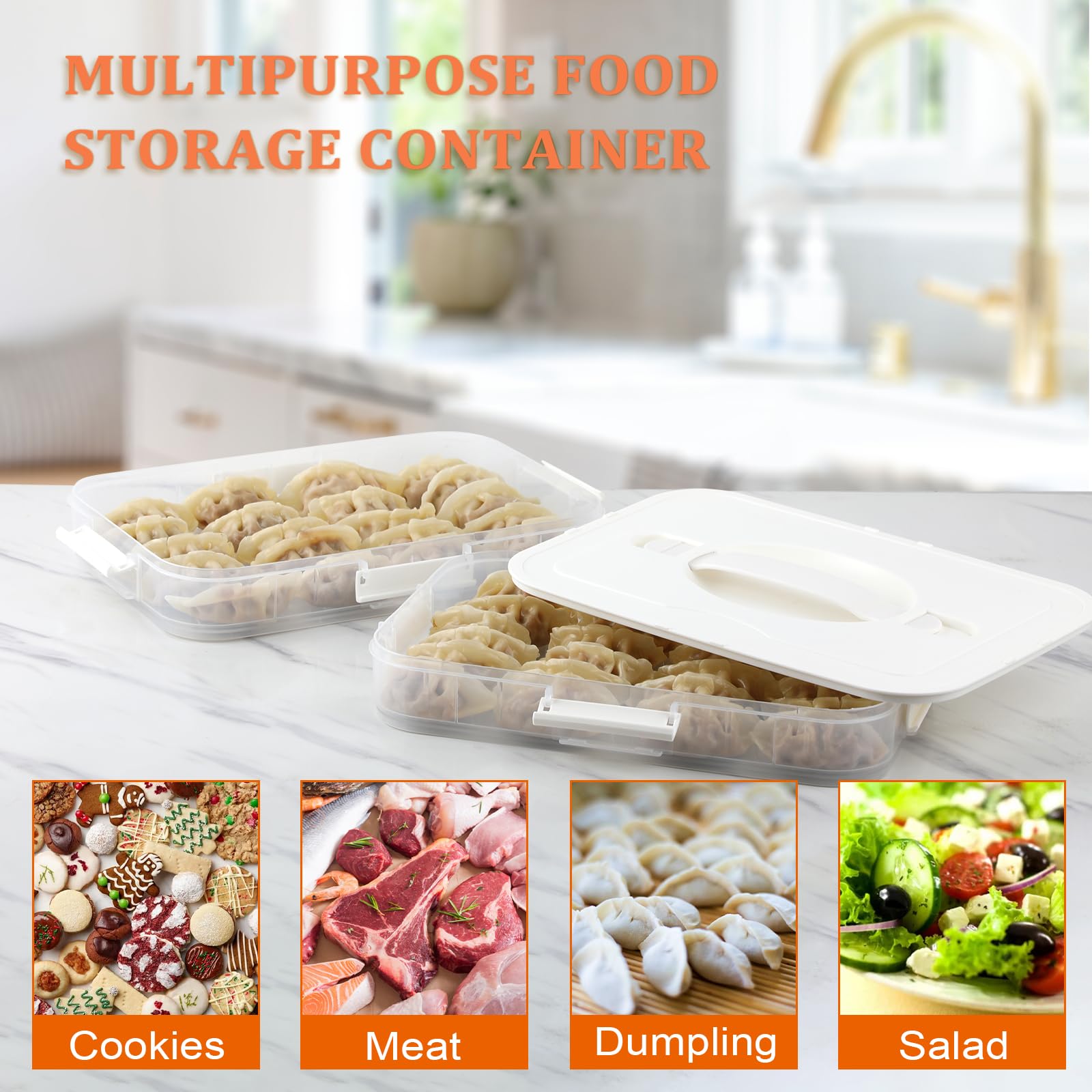 BTSKY Plastic Food Storage Container with lids, Dumpling Storage Box, Cookie Carrier Cookie Sheet with Lid, Portable Large Food Container for Snack, Fruit, Vegetables, Meat, Wontons(2-Layer, White)