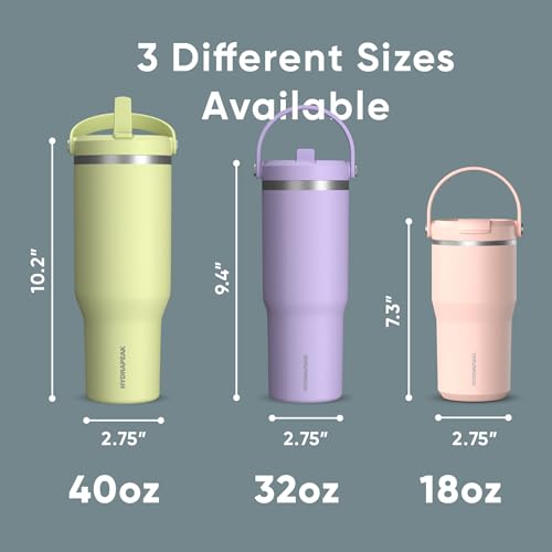 Hydrapeak Nomad 32 oz Tumbler with Handle and Straw Lid, Leakproof, Double Insulated, 32oz Cup, Stainless Steel | Agave Blue