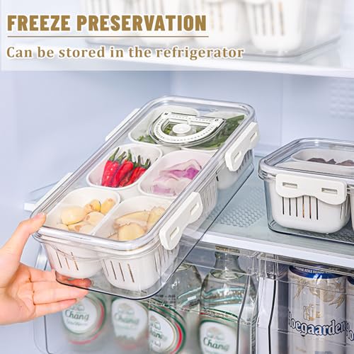 Dualshine Divided Serving Tray with Lid, Fruit Storage Containers for Fridge, Snack Box, Portable Food Storage Containers with 6 Compartments Keep Fruits, Snacks, Vegetables and Spices Fresh Longer