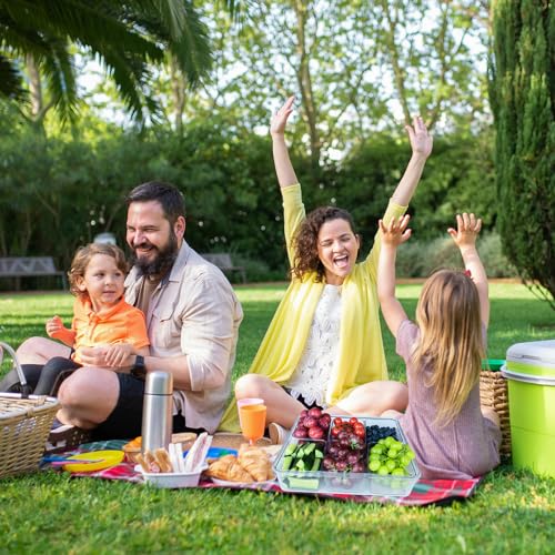 Large Snack Box Container, Clear Divided Serving Tray with Lid and Handle, Portable Snack Tray with Lid for Fruit Veggie Candy, Travel Snackle Box Charcuterie Container for Picnic Party (White, 1 pcs)