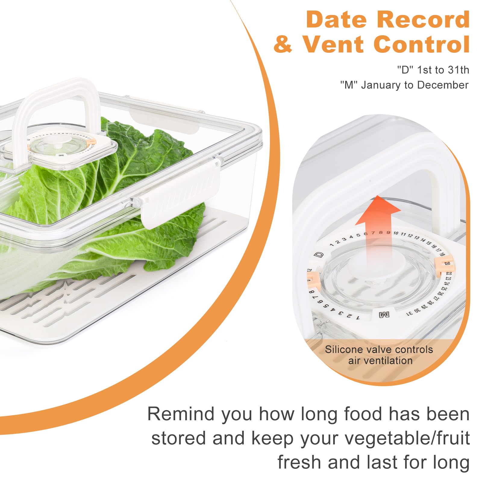 MOLINGRITAR Fruits Storage Container for Fridge, Plastic Refrigerator Organizer Bins Set of 3, Fresh Produce Saver Containers with lid and Handle, Time Dial and Vent Control Crisper Box