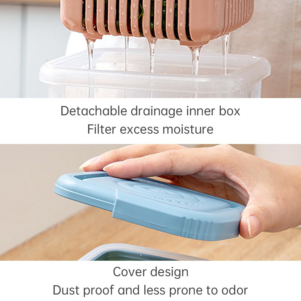 Food Storage Containers with Lids Fridge Berry Storage Container with Lid/Strainer Fresh Produce Saver Keeper for Scallion Ginger Garlic Vegetable Fruit Meat Lettuce