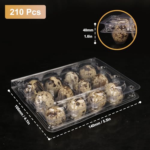 210 Pack Quail Egg Cartons, Clear Plastic Quail Egg Trays, Holds up to 12 Quail Eggs Securely - Your Ultimate Small Eggs Carton Holders for Bulk Storage and Display by KUKLIPJIM