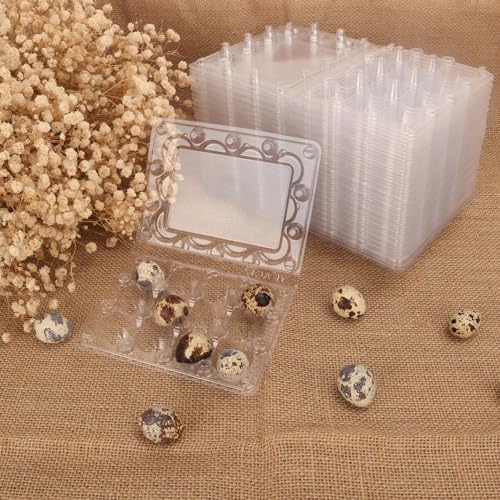 210 Pack Quail Egg Cartons, Clear Plastic Quail Egg Trays, Holds up to 12 Quail Eggs Securely - Your Ultimate Small Eggs Carton Holders for Bulk Storage and Display by KUKLIPJIM