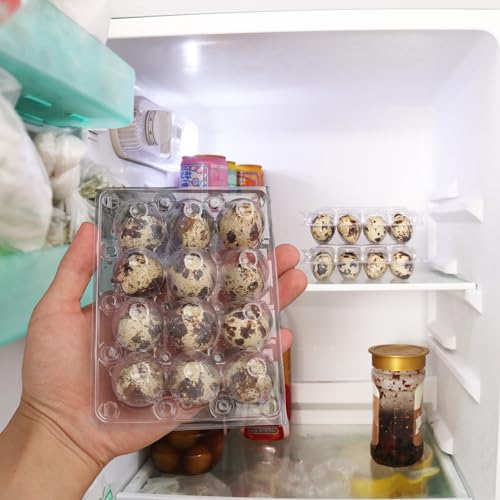 210 Pack Quail Egg Cartons, Clear Plastic Quail Egg Trays, Holds up to 12 Quail Eggs Securely - Your Ultimate Small Eggs Carton Holders for Bulk Storage and Display by KUKLIPJIM