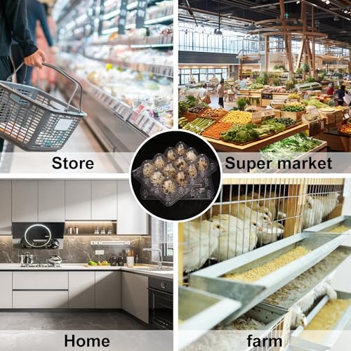 210 Pack Quail Egg Cartons, Clear Plastic Quail Egg Trays, Holds up to 12 Quail Eggs Securely - Your Ultimate Small Eggs Carton Holders for Bulk Storage and Display by KUKLIPJIM