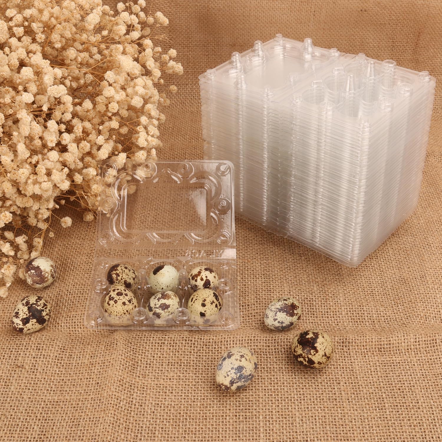 KUKLIPJIM 300 Pack Quail Egg Cartons, Clear Plastic Quail Egg Trays, Holds up to 6 Quail Eggs Securely - Your Ultimate Small Eggs Carton Holders for Bulk Storage and Display